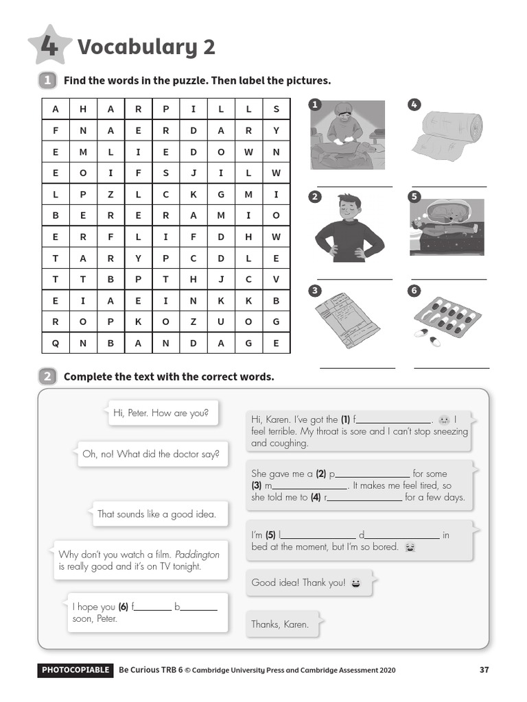 Be Curious 6 - Vocabulary Worksheet - Unit 4 - 2 | PDF