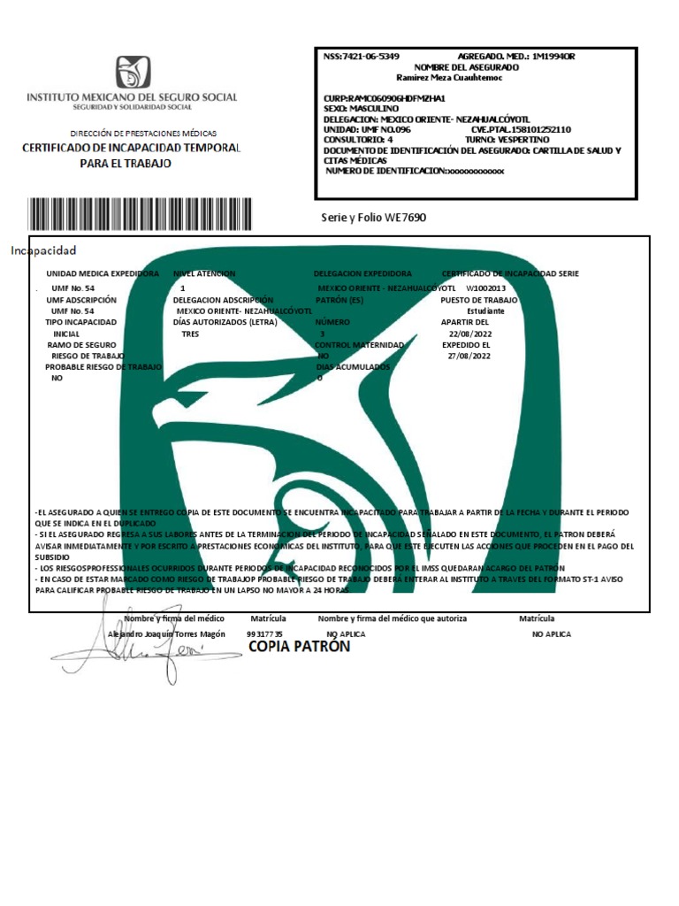 Formato Incapacidad Imms | PDF
