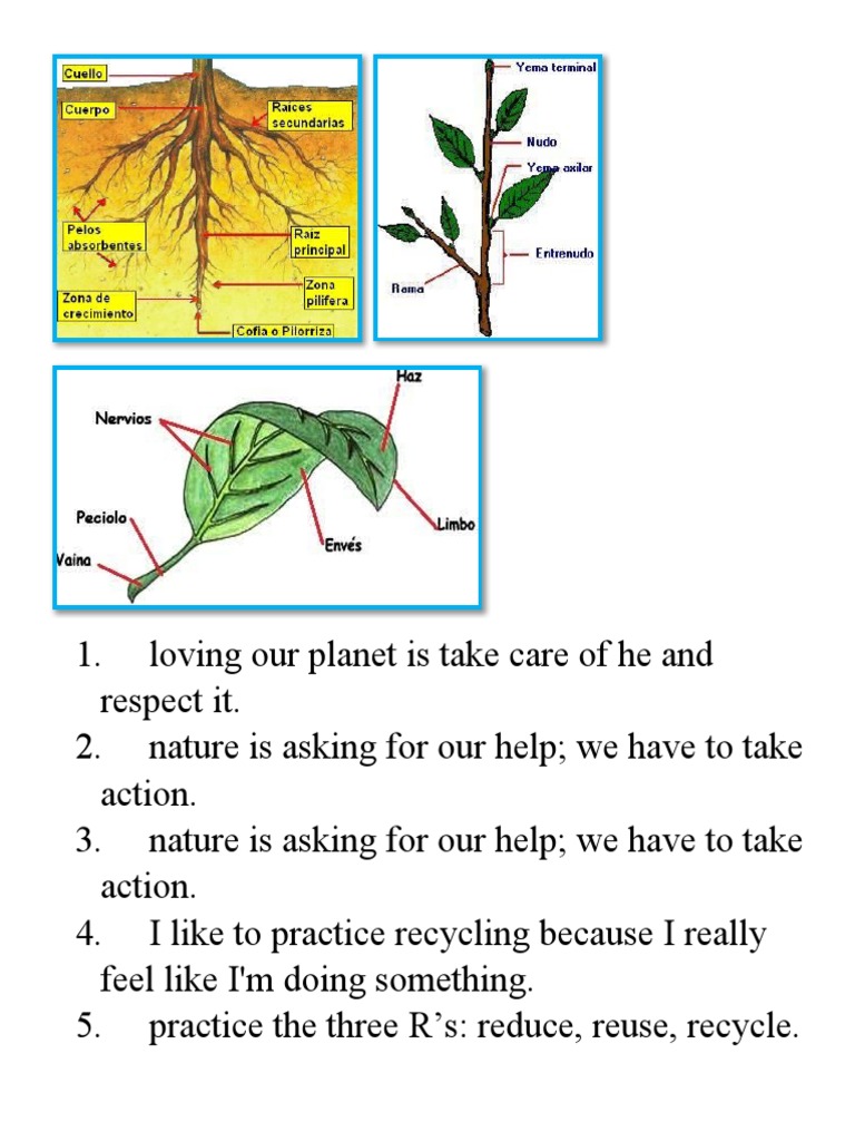 Loving Our Planet Is Take Care of He and Respect It | PDF | Language ...
