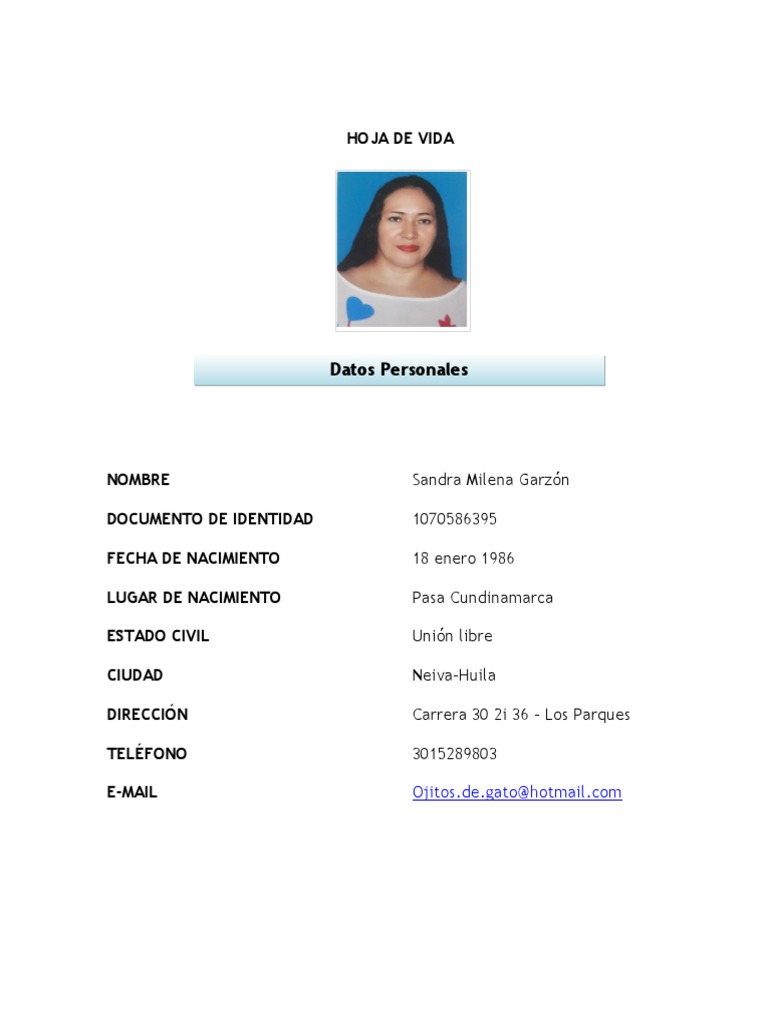 Hoja de Vida Sandra | PDF