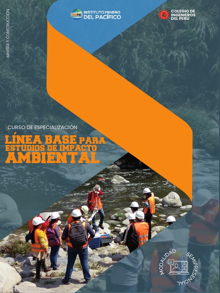 Curso EIA: Línea Base Ambiental | PDF | Ingeniería | Minería