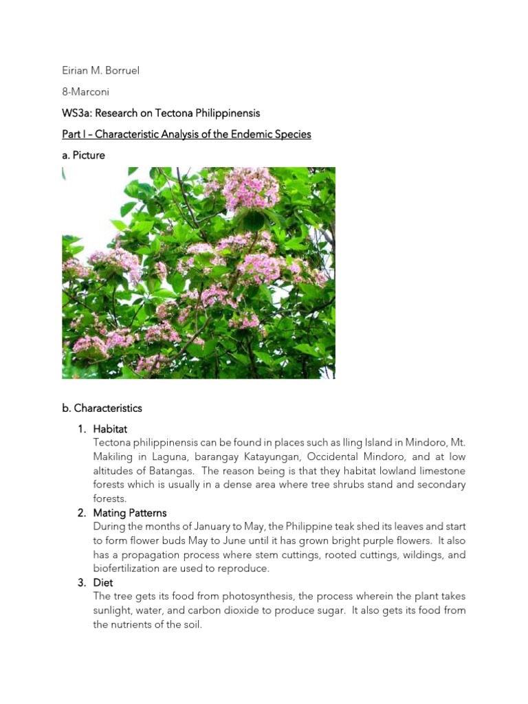 Philippine Teak: Characteristics & Conservation | PDF | Habitat ...