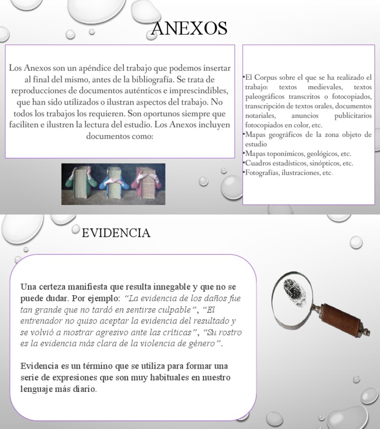 Anexos PDF | PDF