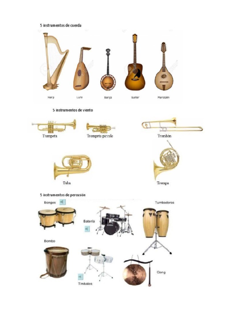 5 Instrumentos de Cada Tipo | PDF