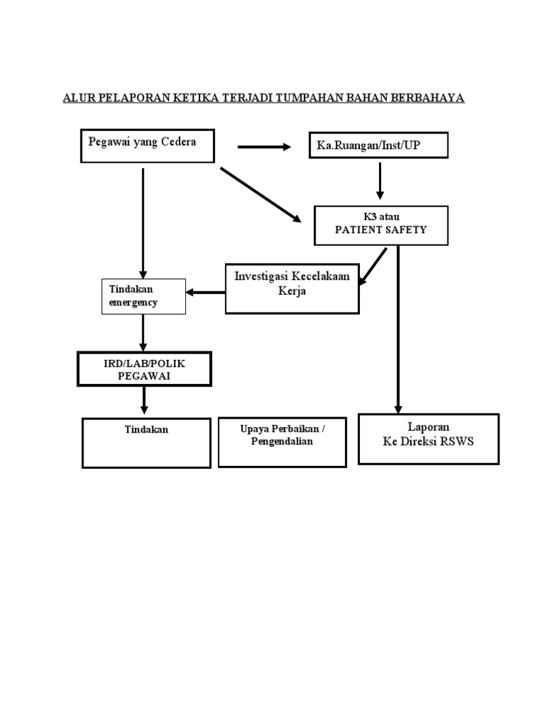 Bagan Alur Pelaporan Tumpahan B3 | PDF