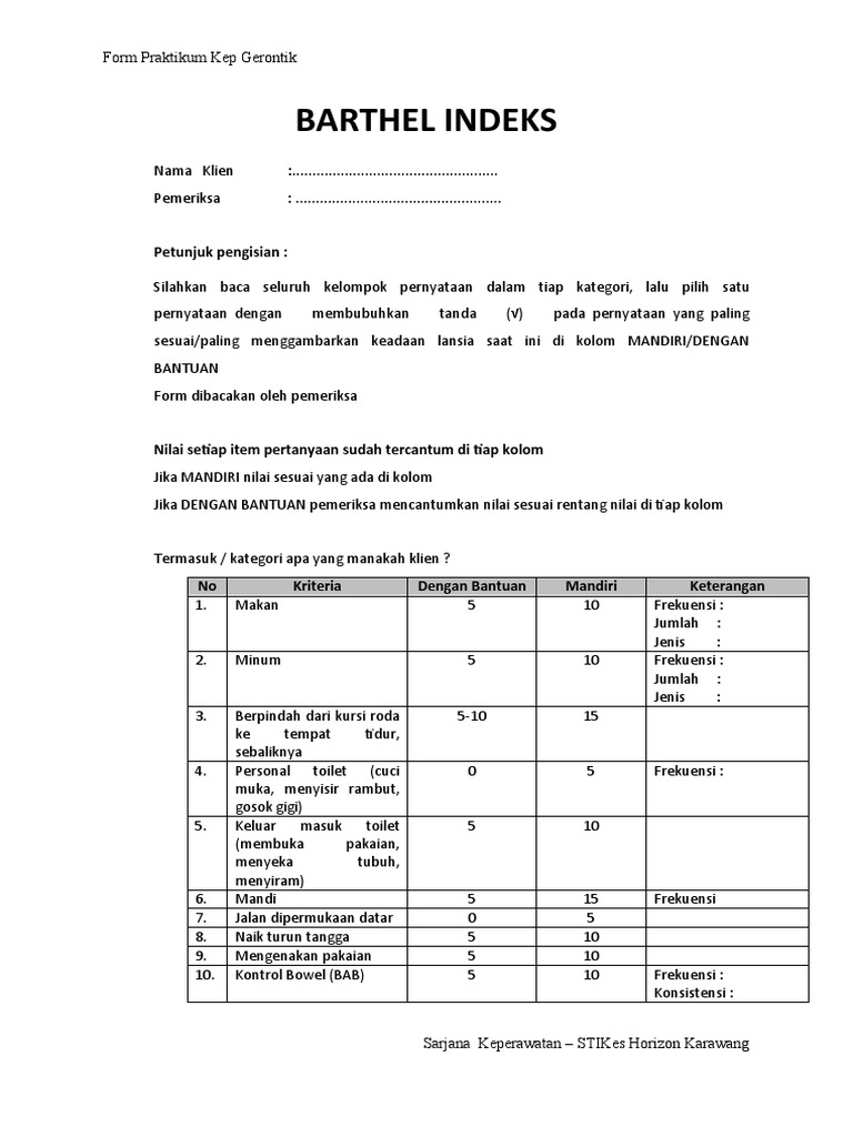 Modified Barthel Index