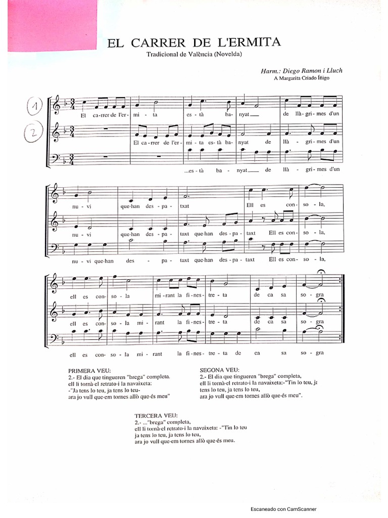 El Carrer de L'ermita | PDF