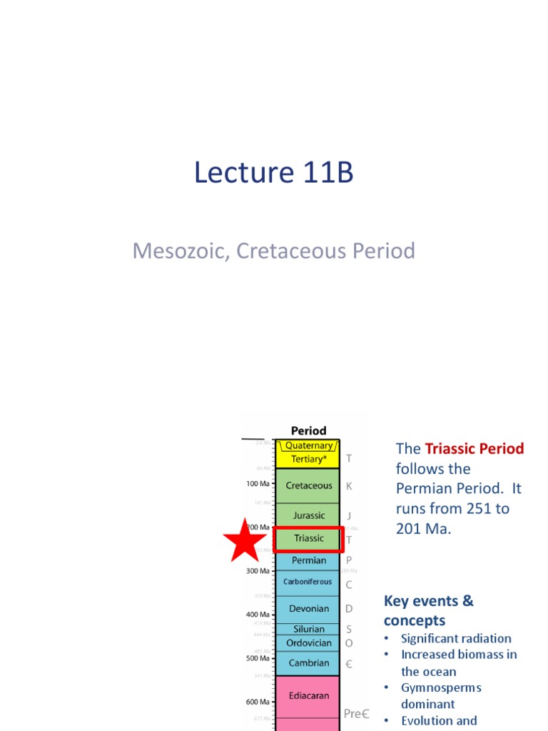 Maddin Lecture 11B Cretaceous | PDF | Cretaceous | Dinosaurs Maddin Lecture 11B Cretaceous | PDF | Cretaceous | Dinosaurs