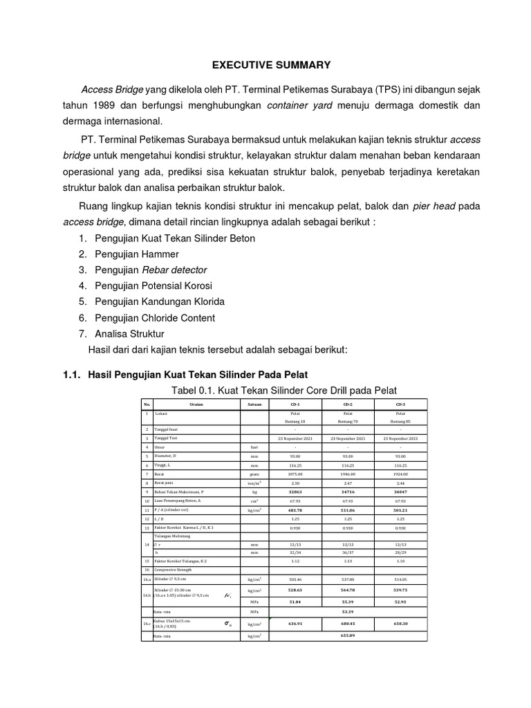 Executive Summary TPS | PDF