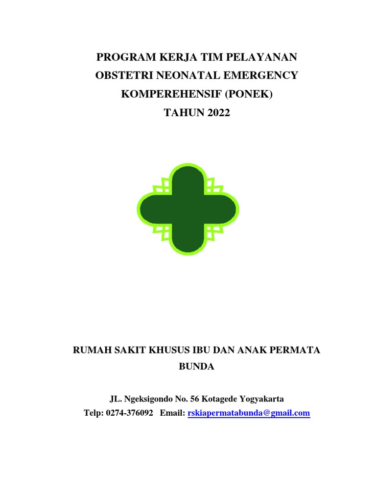 Program Kerja Tim Ponek | PDF