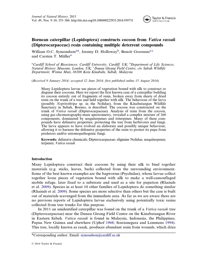Bornean Caterpillar (Lepidoptera) Constructs Cocoon From Vatica Rassak ...