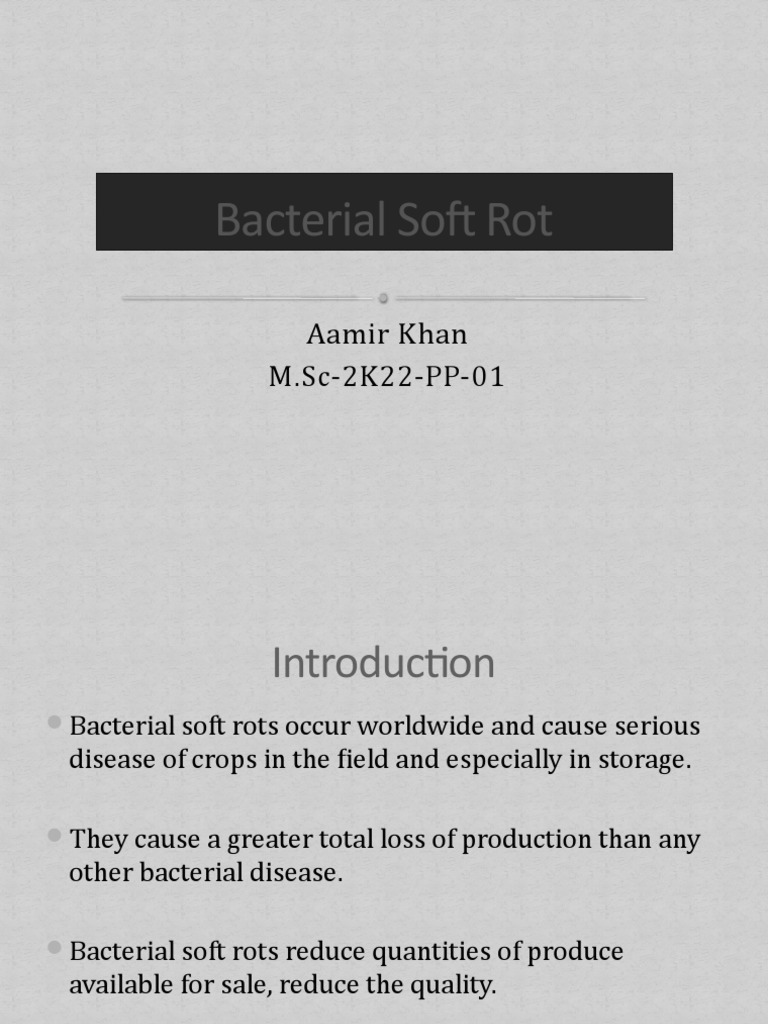 Bacterial Soft Rot in Vegetables | PDF | Home & Garden