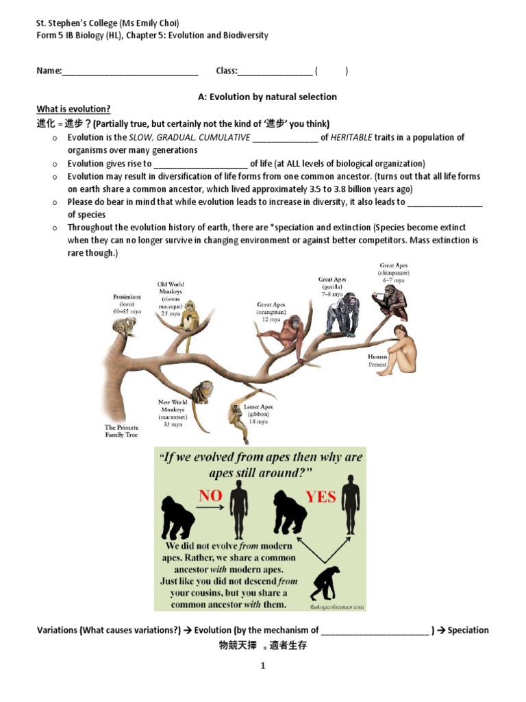 Form 5 - IB - ch5 - A, B - Theory and Evidence | PDF | Evolution ...