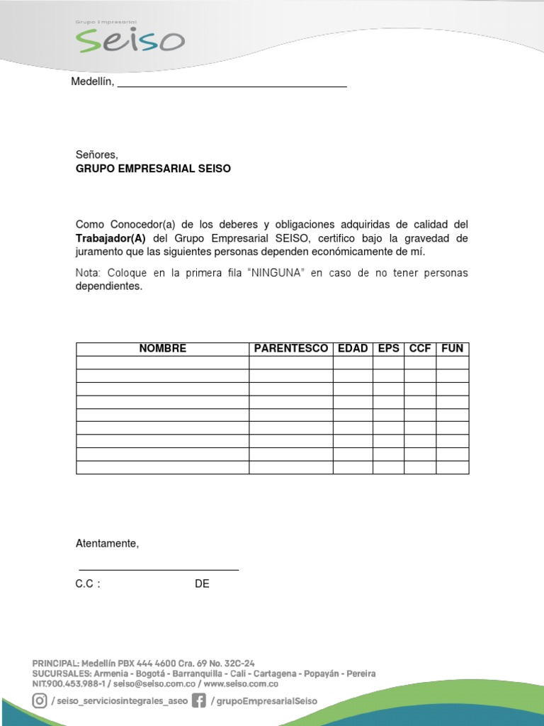 FICHAS SEISO - Actualizadas Seiso | PDF | Valores | Seguridad y salud ...