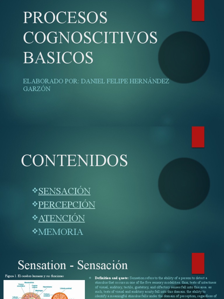 Procesos Cognoscitivos Basicos | PDF | Percepción | Memoria