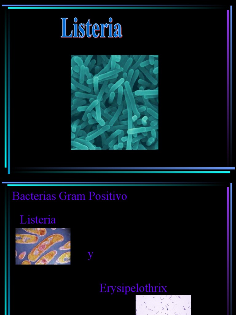 Características de Listeria y Erysipelothrix | PDF | Medicina CLINICA ...