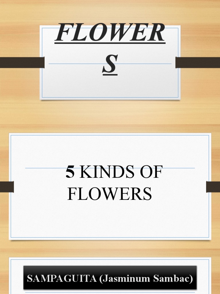 Princess Timosa and Jennelyn Magdaong | PDF | Rose | Flowers