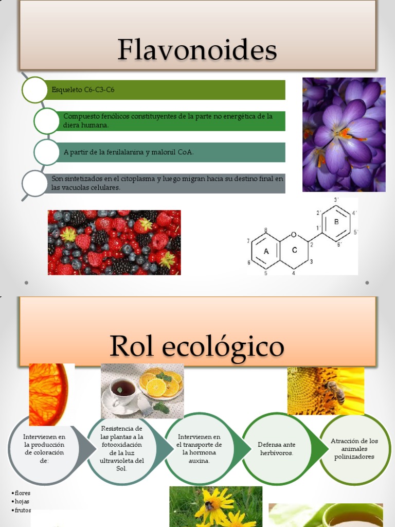 Flavonoides-11-11 1670 0 | PDF | Flavonoide | Química