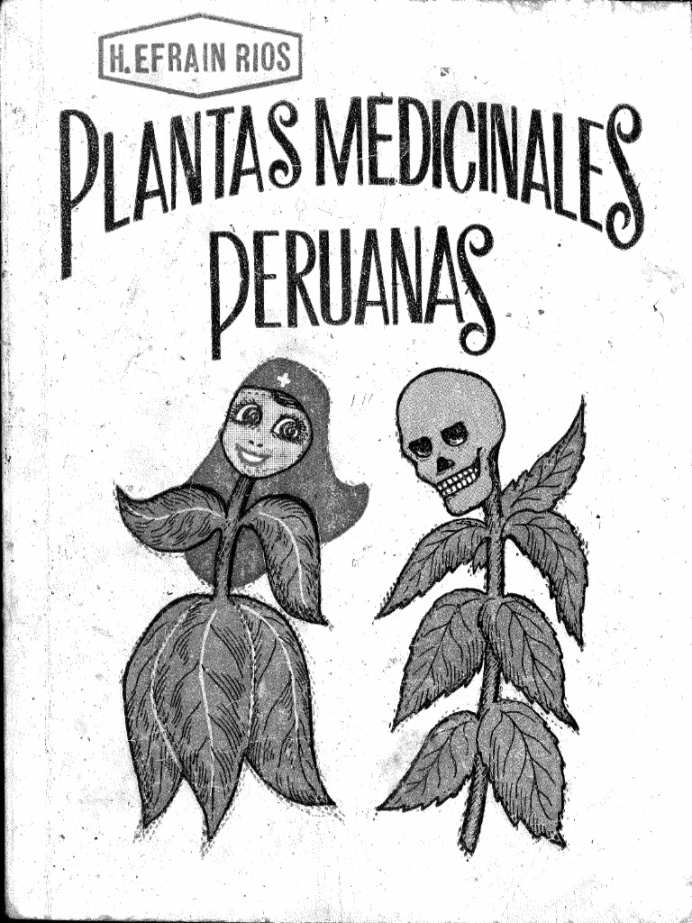 Plantas Medicinales Peruanas | PDF
