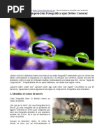 Ensayo Fotografico y Ejemplos | PDF | Ensayos
