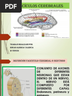 Solicitud de Carta Suma Remanente AXA | PDF