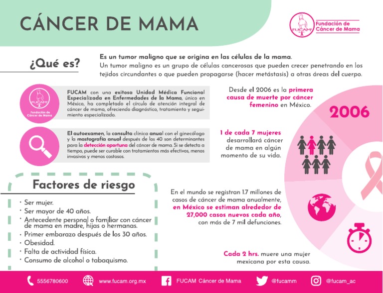 Cáncer de Mama | PDF