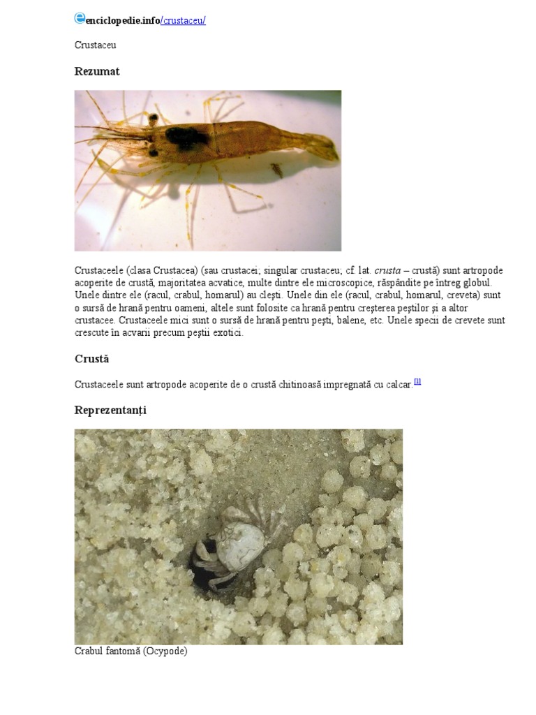 CRUSTACEE | PDF