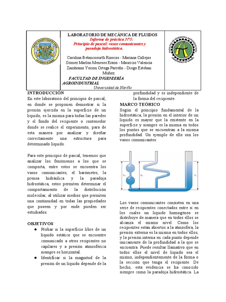 Informe 5 - Principio de Pascal | PDF | Presión | Líquidos