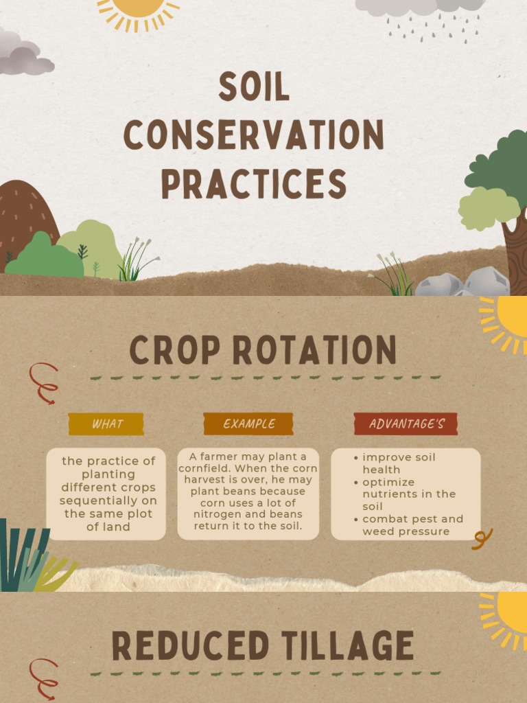 Soil Conservation Practices Explained | PDF | Agriculture | Crop Rotation