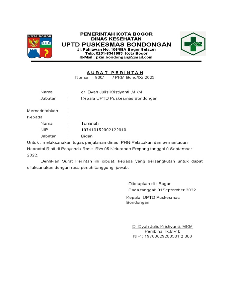 SPJ PHN September 2022 | PDF | Kesehatan Holistik