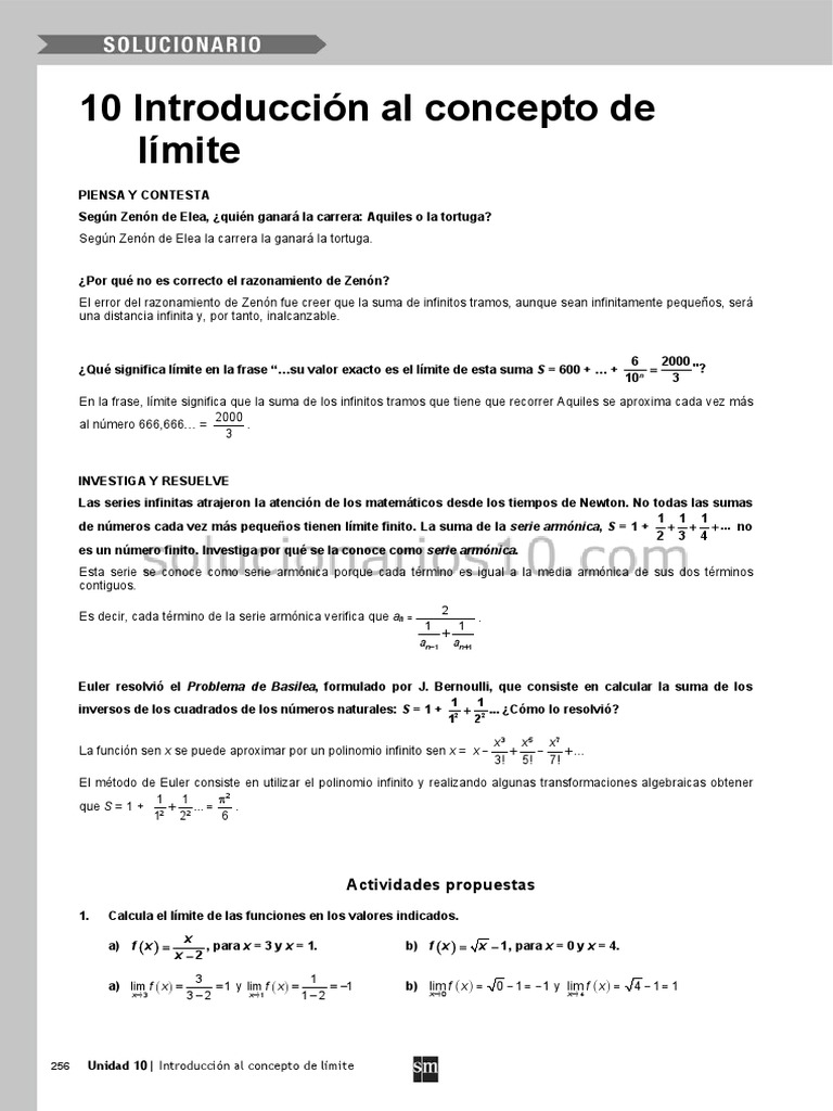 Introduccion Al Concepto de Limite | PDF | Funciones y mapeos | Matemática Elemental