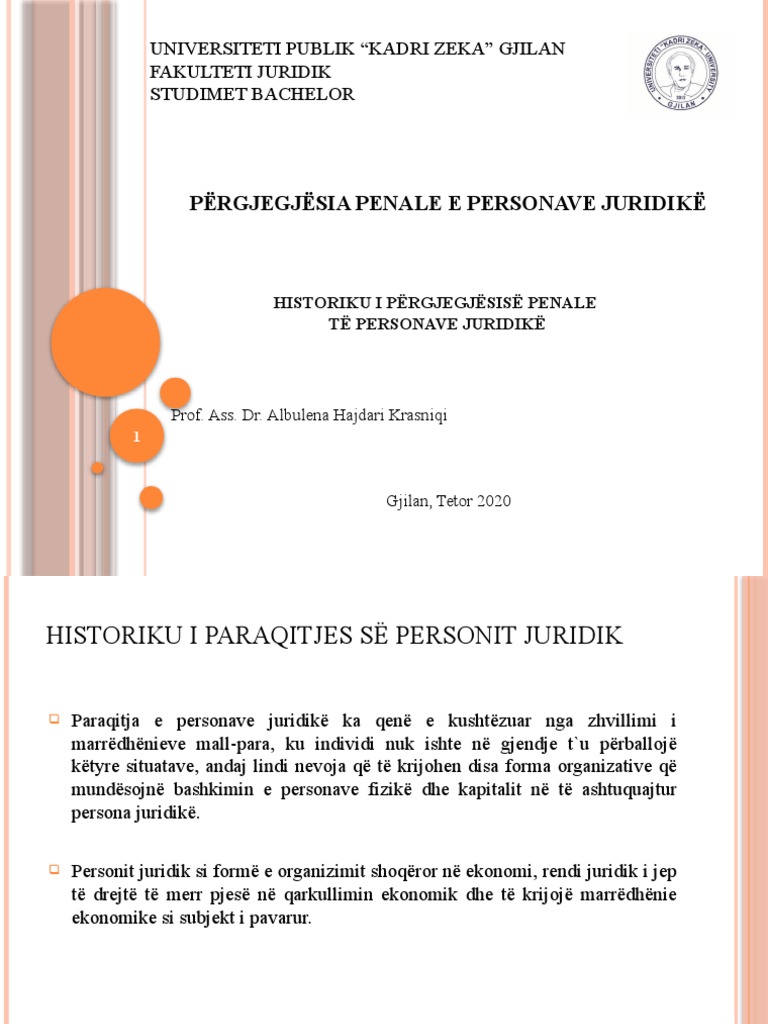 JAVA-1 Historiku I PPJV | PDF