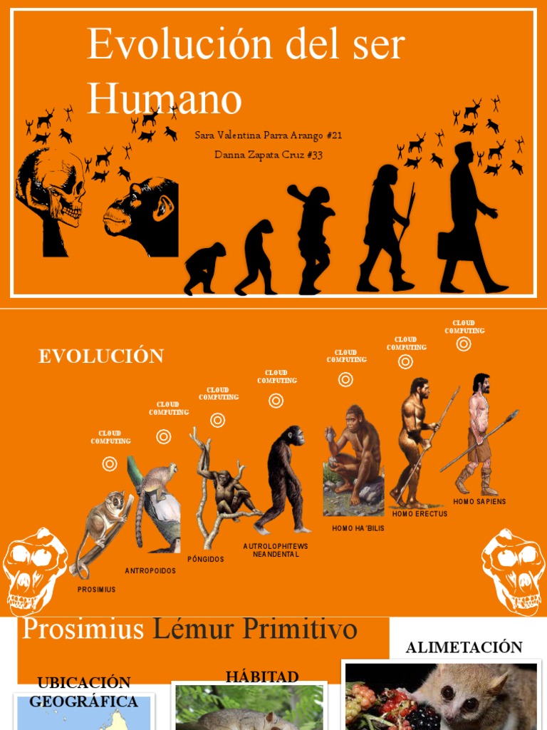 Evolucion Del Ser Humano | PDF