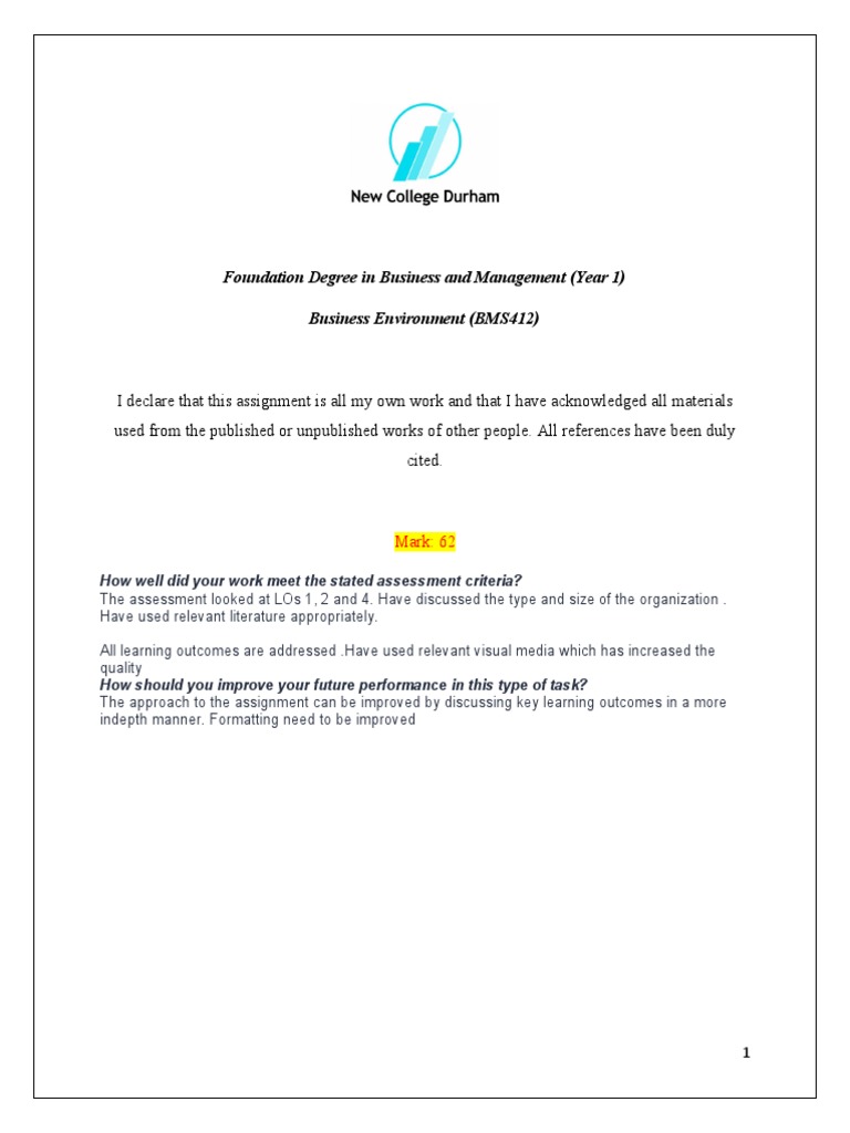 Business - Environment - Report (Sample) | PDF | Bbc | Globalization