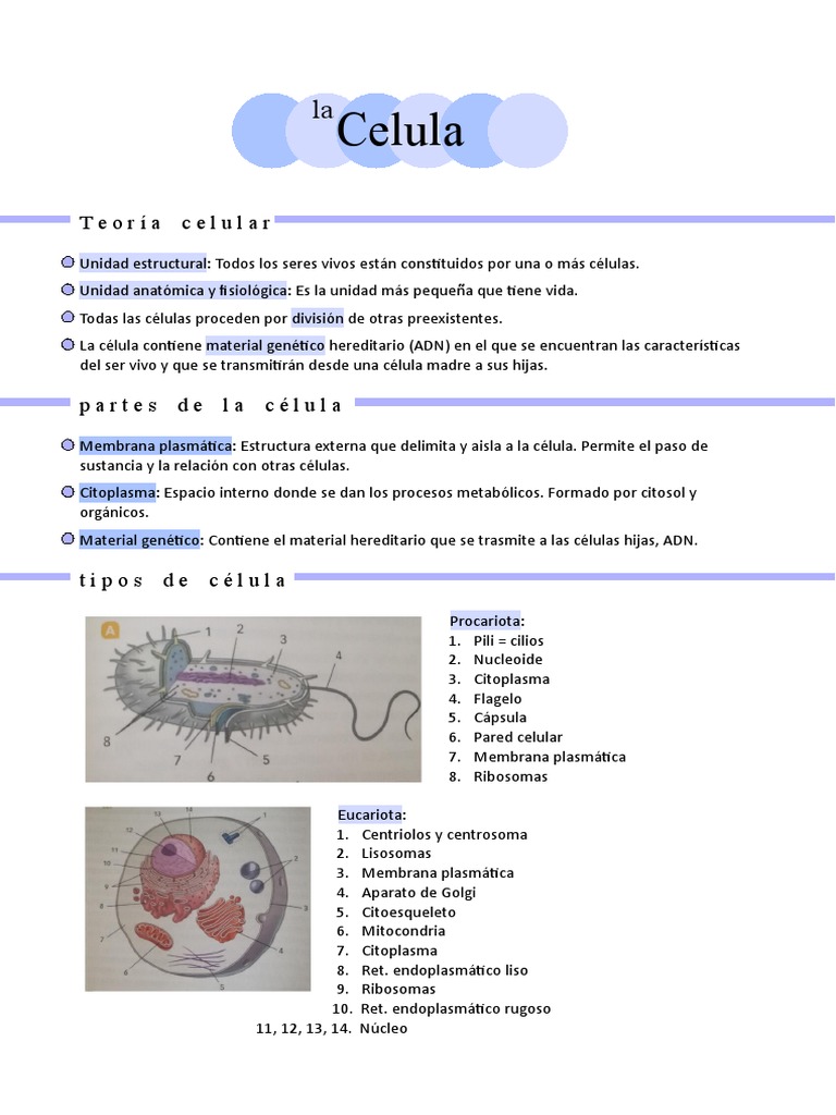 T1. La Célula | PDF | Biología Celular) | Citoplasma