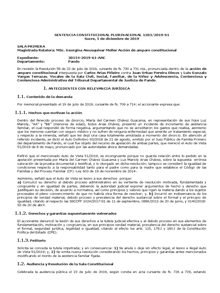 SCP 1203/2019: Asistencia Familiar Bolivia | PDF | Debido al proceso ...