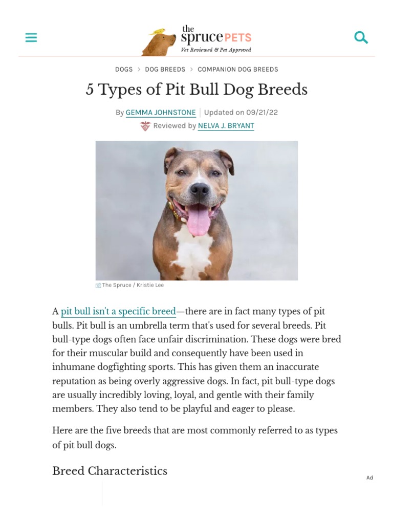 5 Types of Pit Bull Dog Breeds | PDF | Pit Bull | Staffordshire Bull ...