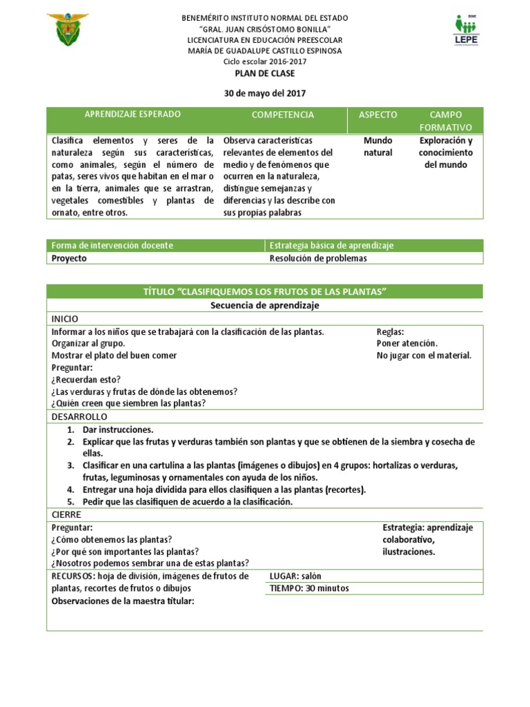 Clasificación de Plantas | PDF | Plantas | Educación de la primera infancia