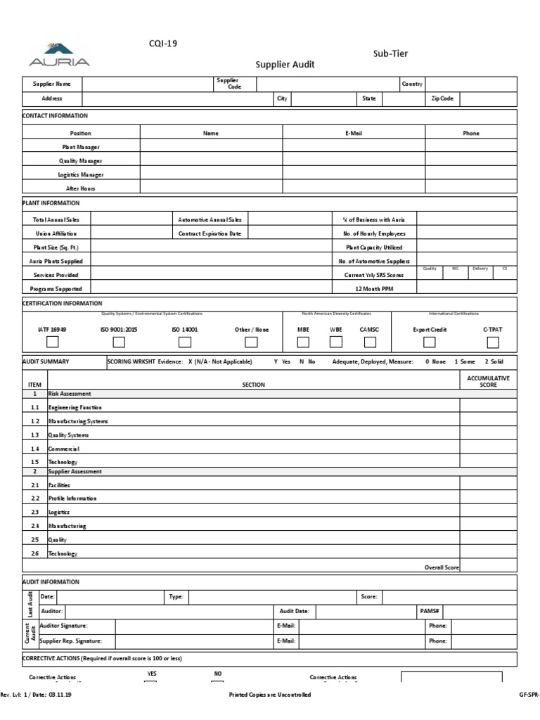 CQI 19 Supplier Assessment - GF SPR 21.7 | PDF | Verification And ...