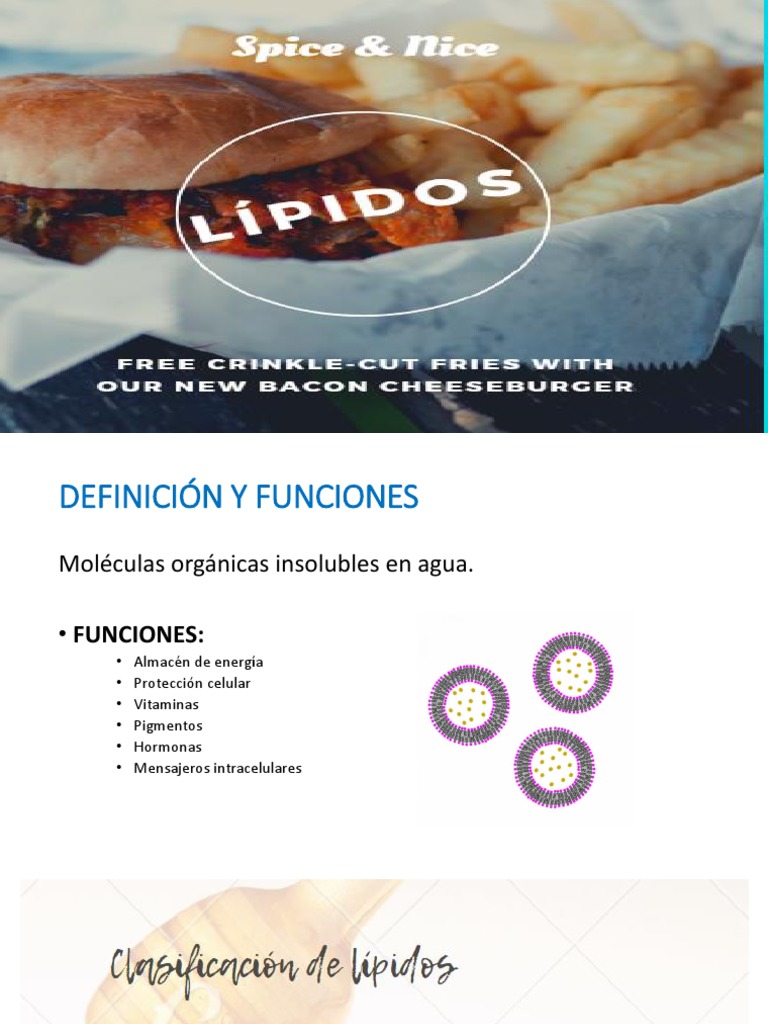 Presentación Lípidos | PDF