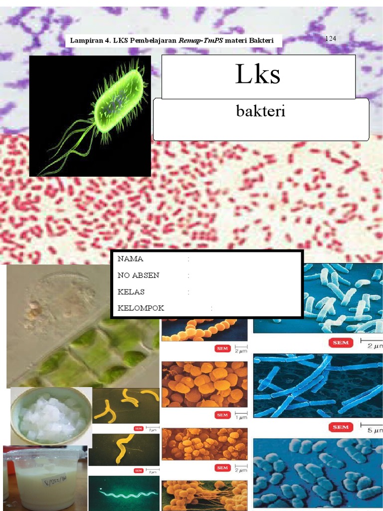 Lampiran 4 LKS Remap-TmPS | PDF | Karier & Perkembangan | Kajian Bahasa Asing