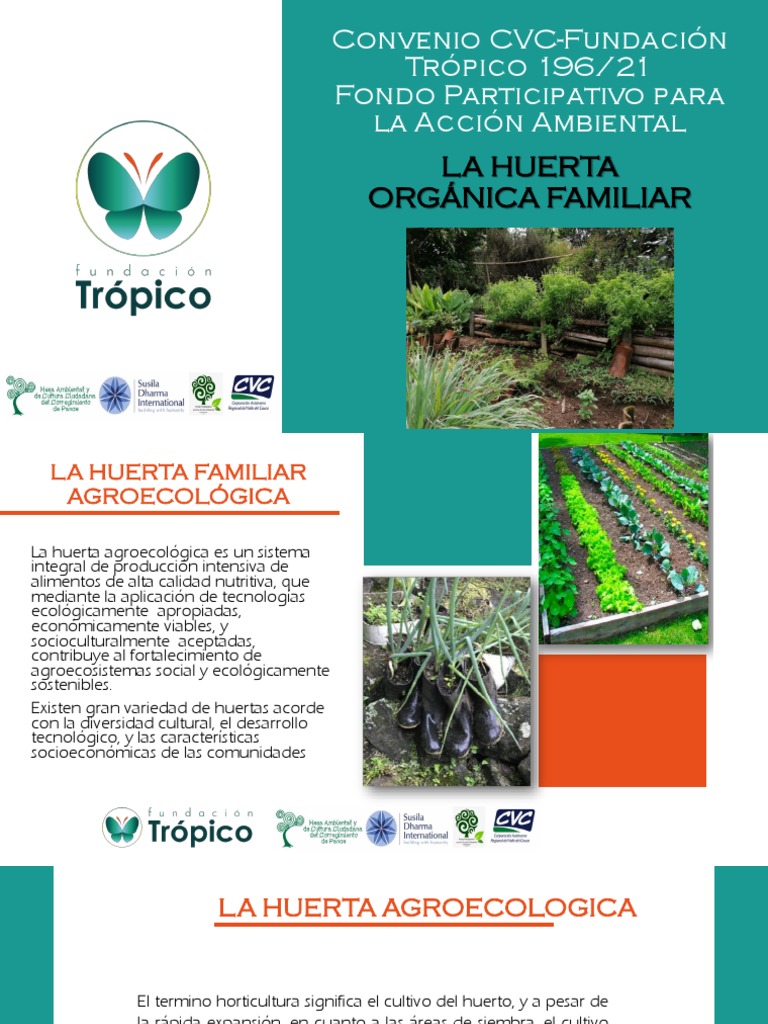 Guía para Crear Huertas Agroecológicas | PDF | Vegetales | Huerta