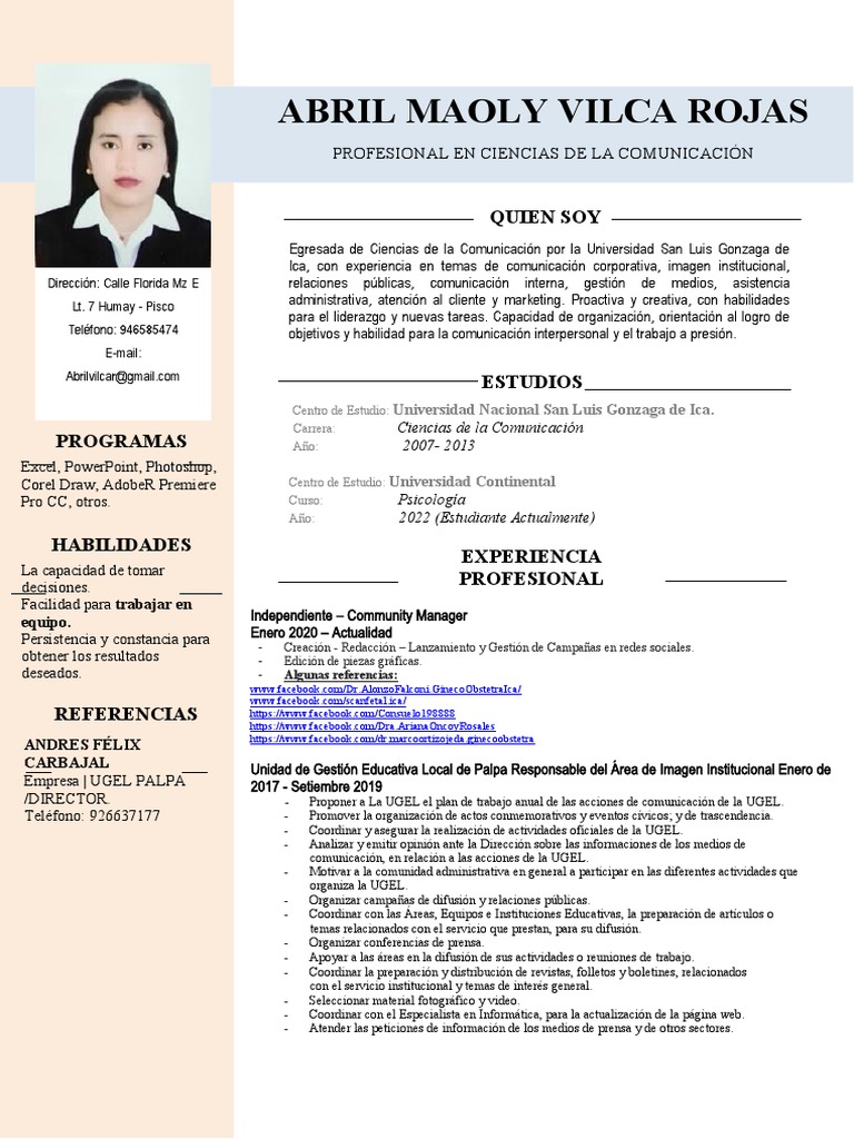 CV Abril Vilca Rojas 2022 | PDF | Marketing | Business