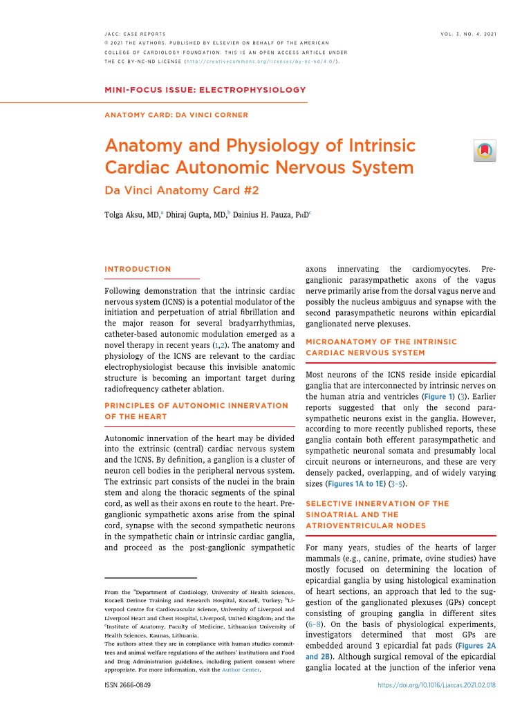 Anatomy and Physiology of Intrinsic Cardiac Autonomic Nervous System | PDF | Atrium (Heart) | Heart
