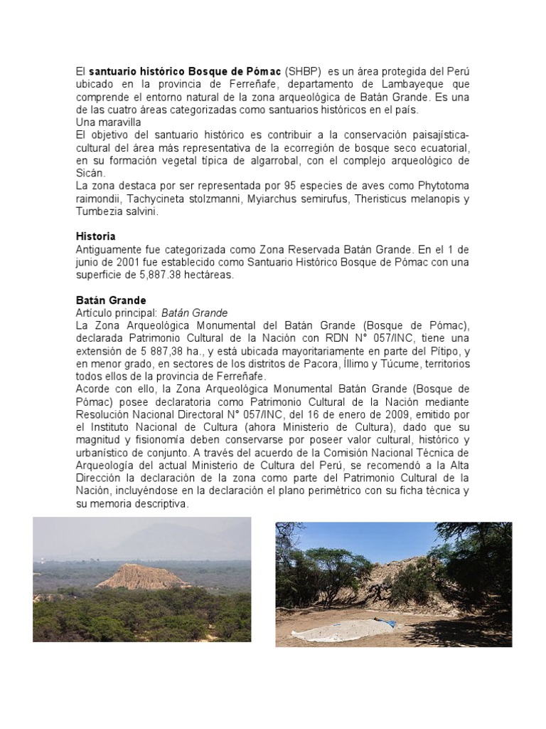 El Santuario Histórico Bosque de Pómac | PDF | Perú