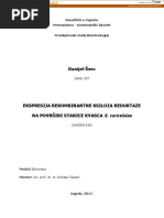 Apollo Discharge Summary | PDF