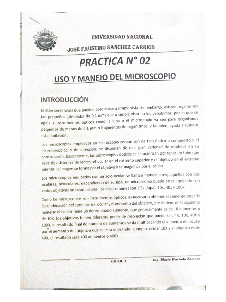 Practica #02 | PDF