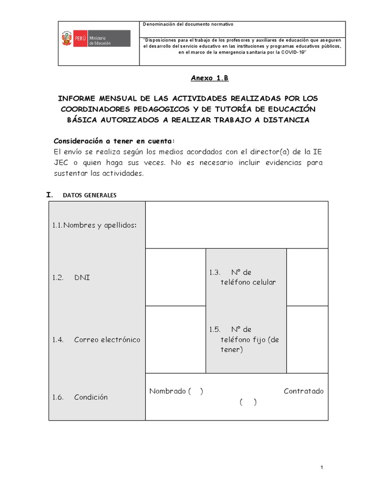 Anexo 1b Informe Mensual de Las Actividades Realizadas Por Los ...
