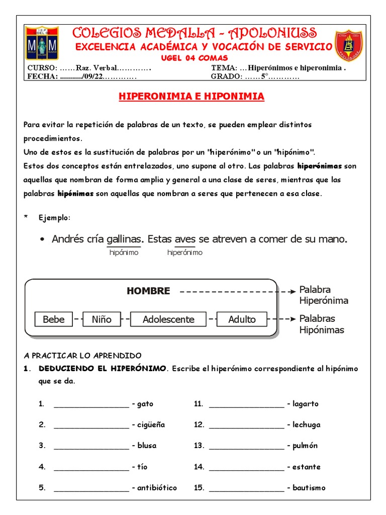 Hiperonimia 5° | PDF