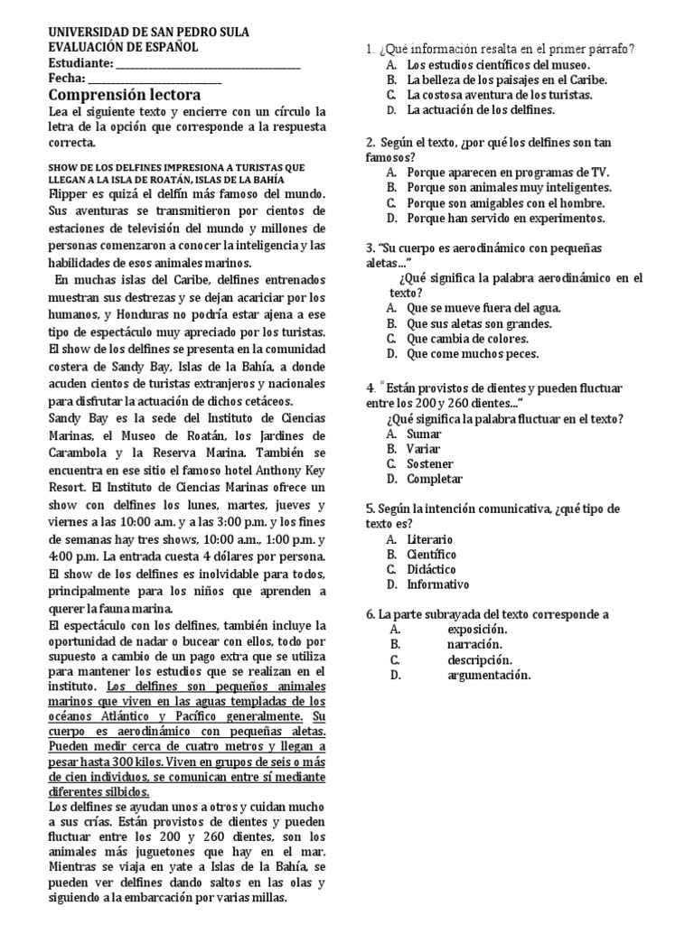 Prueba Diagnóstica de Español | PDF